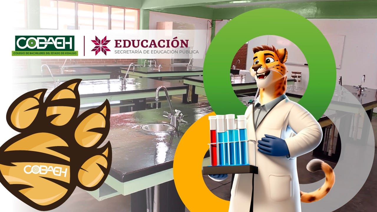 e-learning COBAEH